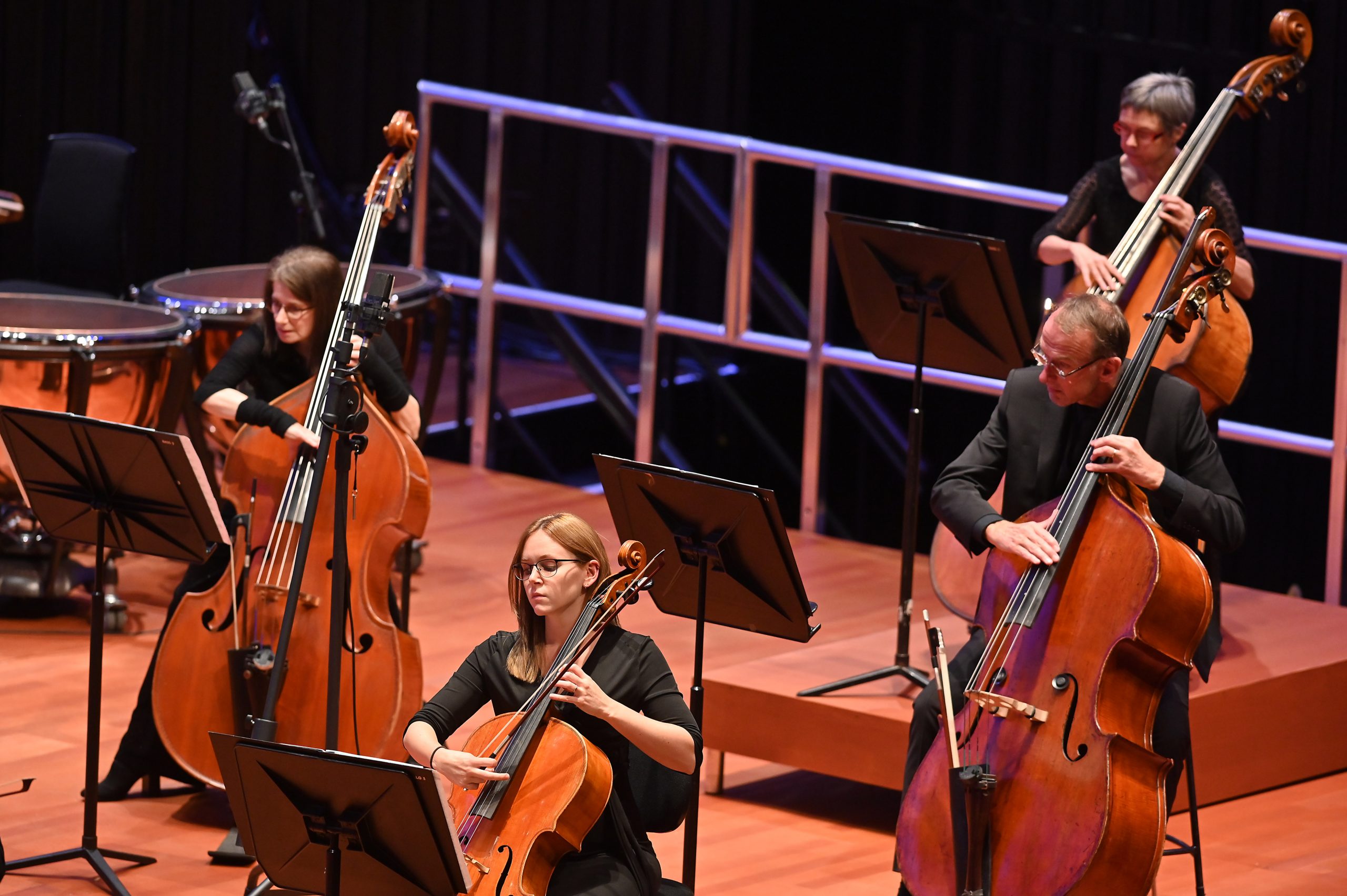 Explore the inner workings of a symphony orchestra